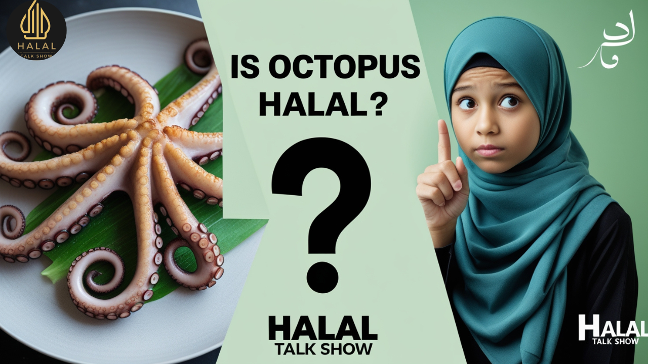 Is Octopus Halal? Complete Guide for Muslims – Halal Talk Show